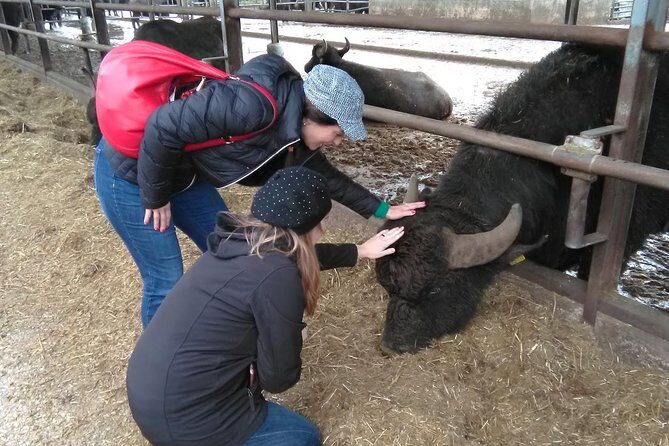 Paestum Traditions, Buffaloes, Ceramics, Temples - An All-in-One Experience of Cilento’s Soul