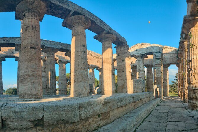Paestum Traditions, Buffaloes, Ceramics, Temples - How the Tour Unfolds