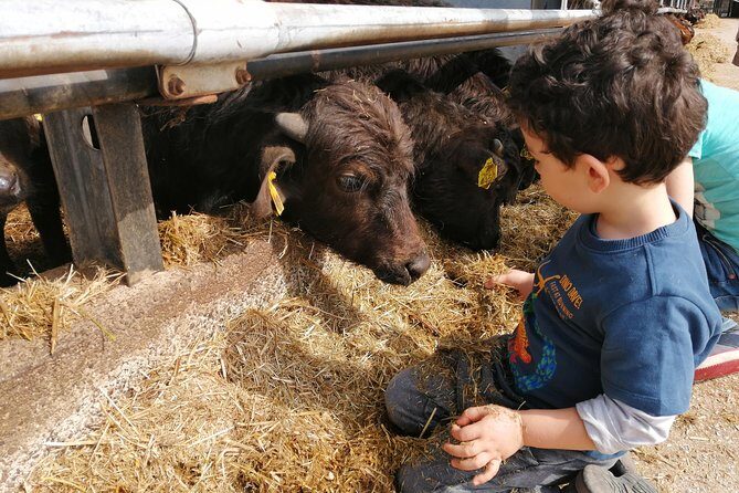 Paestum Traditions, Buffaloes, Ceramics, Temples - Authentic Local Flavor and Cultural Insights