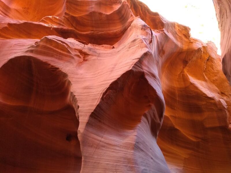 Page: Lower Antelope Canyon Entry and Navajo Guided Tour - The Physical Experience: What You Need to Know