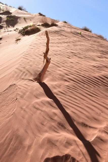 Page: Traditional Navajo Hogan Stay & Antelope Canyon Tour - Key Points