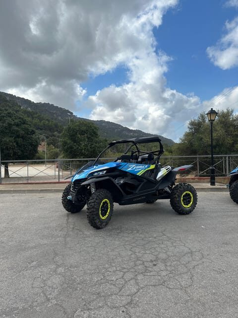 Paguera: 2 Hour Buggy Tour - The Experience, Packaged