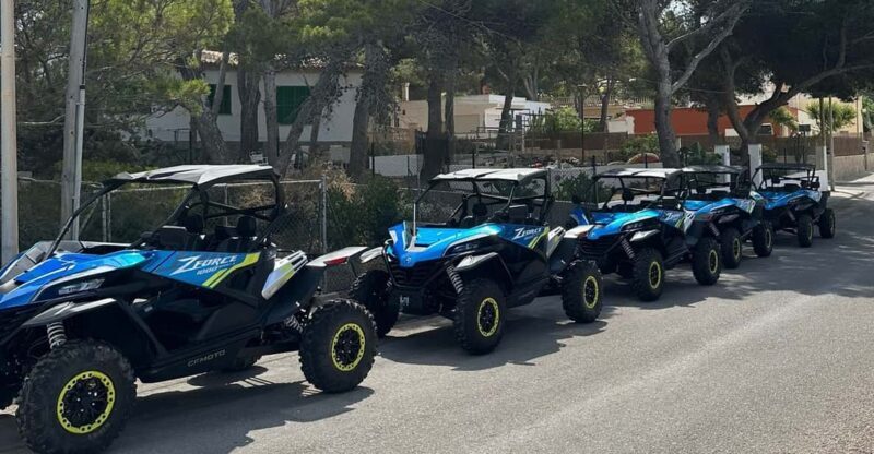Paguera: 2 Hour Buggy Tour - FAQ