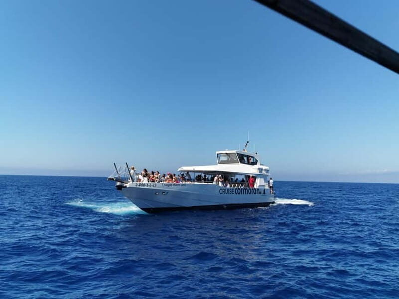 Paguera or Santa Ponsa: Speedboat Cruise to Palma - Key Points
