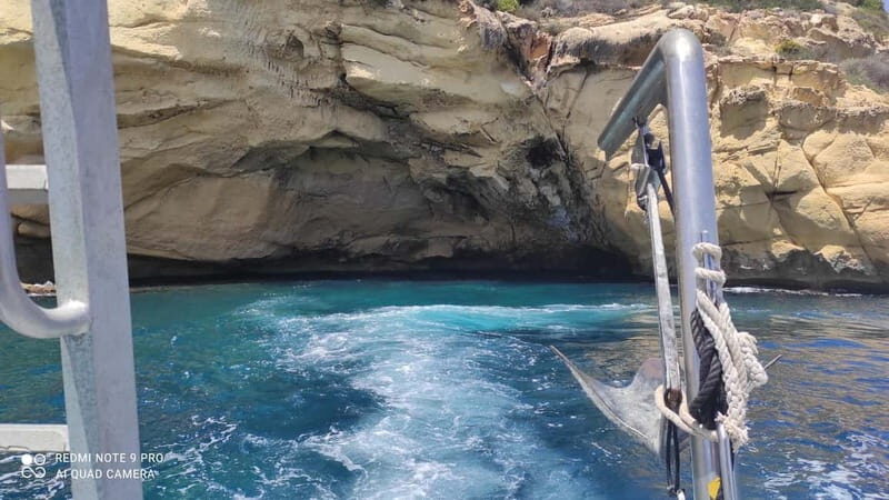 Paguera or Santa Ponsa: Speedboat Cruise to Palma - The Sum Up