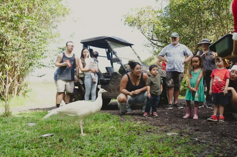 Pahoa: Ranch Tour with Animal Feedings and Interactions - Introduction: What to Expect from the Pahoa Ranch Tour