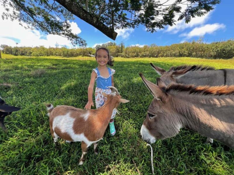 Pahoa: Ranch Tour with Animal Feedings and Interactions - Who Would Enjoy This Tour?