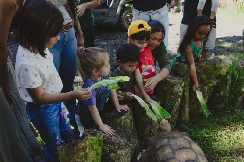 Pahoa: Ranch Tour with Animal Feedings and Interactions - Final Thoughts