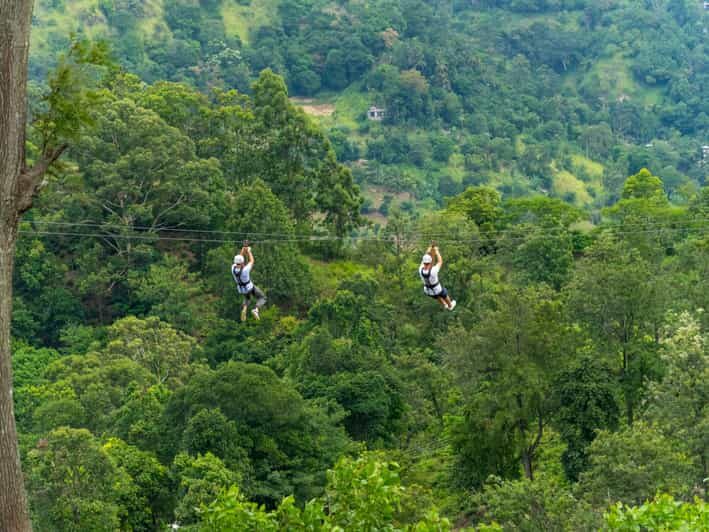 Pai: Jungle Ziplining Adventure with 16 Platforms - Key Points