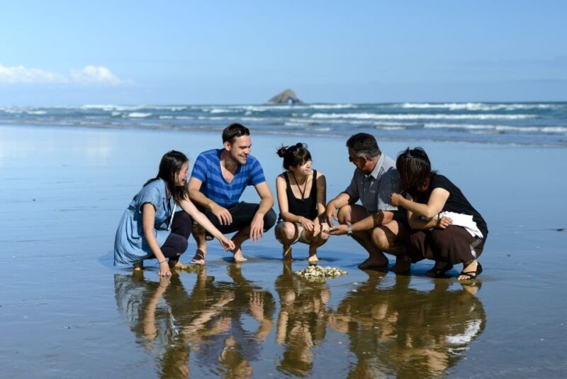 Paihia: Cape Reinga and Ninety Mile Beach Trip with Lunch - Key Points