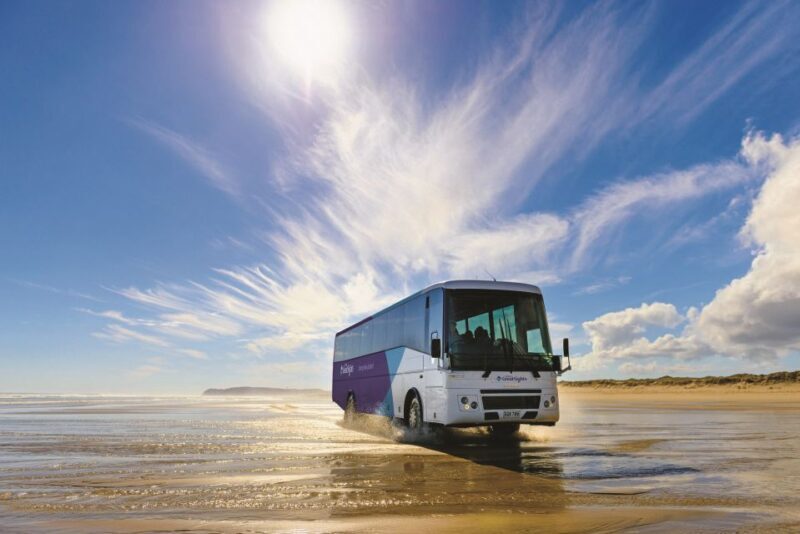Paihia: Cape Reinga and Ninety Mile Beach Trip with Lunch - Introduction: A once-in-a-lifetime trip for the curious and adventurous