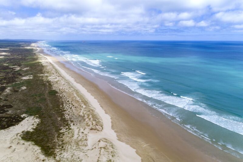 Paihia: Cape Reinga and Ninety Mile Beach Trip with Lunch - Who Should Consider This Tour?