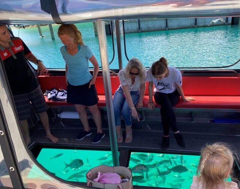 Paihia: Glass Bottom Boat Tour to the Hole in the Rock - Key Points