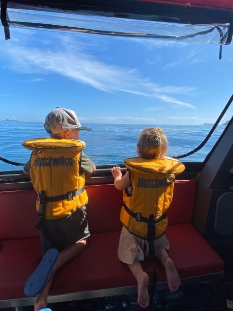 Paihia: Glass Bottom Boat Tour to the Hole in the Rock - A Closer Look at the Experience