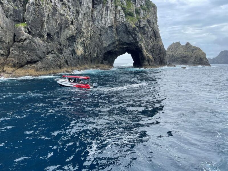 Paihia: Glass Bottom Boat Tour to the Hole in the Rock - The Reality: Weather, Sea Conditions, and Limitations