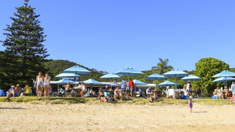 Paihia: Hole in the Rock Fast Boat with Island Stopover - An Overview of the Experience