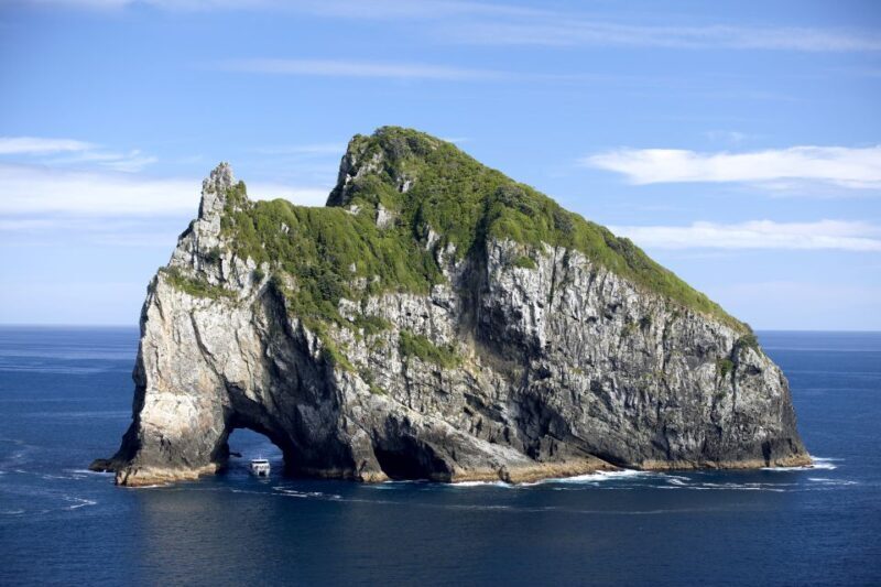 Paihia/Russell: Hole in the Rock and Bay of Islands Cruise - Wildlife Encounters: Say Kia Ora to Dolphins and Whales