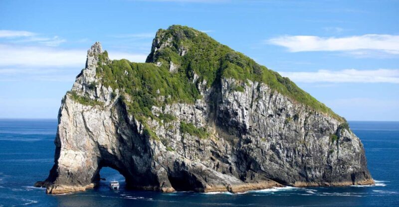 Paihia/Russell: Hole in the Rock and Bay of Islands Cruise - Weather and Conditions: Be Flexible and Prepared