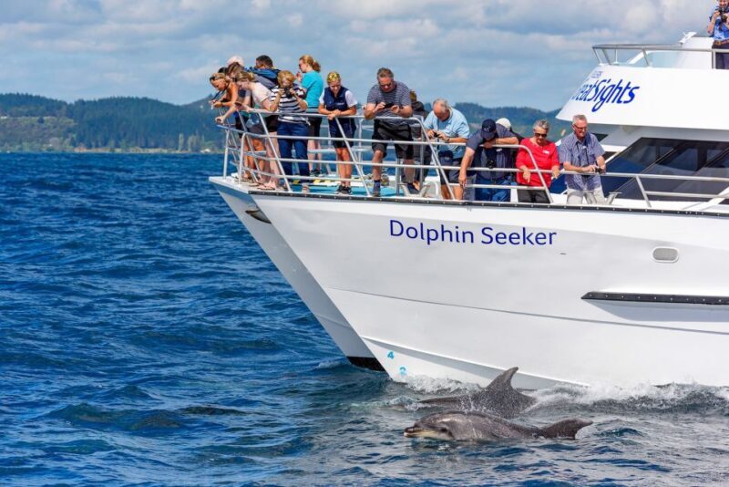 Paihia/Russell: Hole in the Rock and Bay of Islands Cruise - Overall Value: Is It Worth It?
