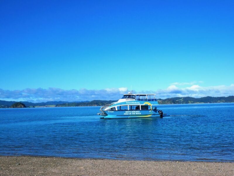 Paihia/Russell: Hole in the Rock Cruise with 2 Island Stops - FAQ