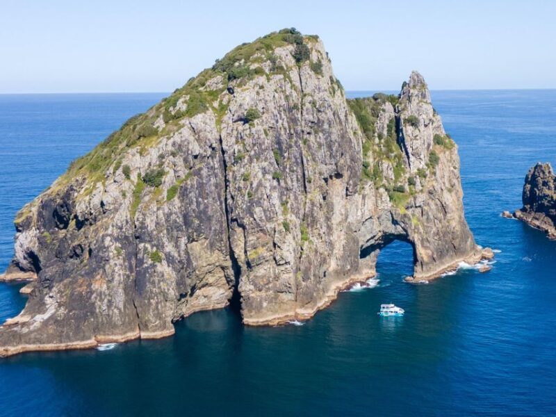 Paihia/Russell: Hole in the Rock Cruise with 2 Island Stops - Final Thoughts