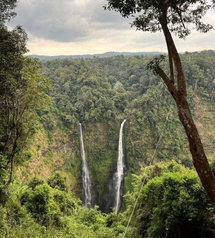 Pakse: Mystic Falls & Timeless Temples of Southern Laos Tour - An In-Depth Look at the Experience