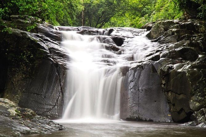 Pala U Waterfall in Kaeng Krachan Jungle with Private Guide from Hua Hin - Discover Thailand’s Untamed Beauty: Pala U Waterfall and Kaeng Krachan Jungle Tour