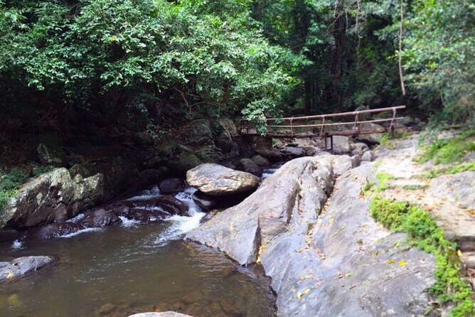 Pala U Waterfall in Kaeng Krachan Jungle with Private Guide from Hua Hin - Who Should Consider This Tour?