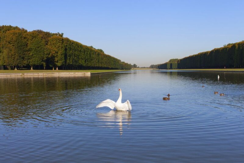 Palace of Versailles Guided Afternoon Tour from Paris - The Practicalities
