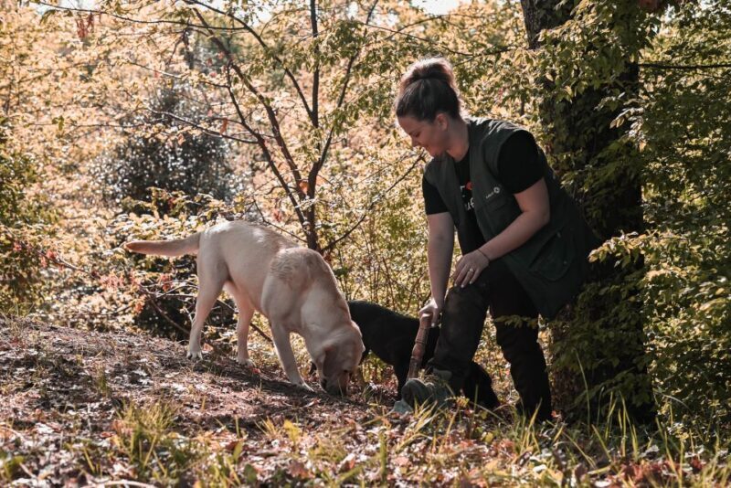 Paladini: Truffle Hunting Tour with 3-Course Tasting Menu - An In-Depth Look at the Experience