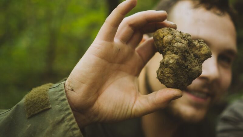Paladini: Truffle Hunting Tour with 3-Course Tasting Menu - Who Will Enjoy This Tour?
