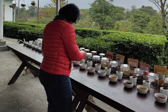 Palampur and Bir Tour, Tea Gardens, Adventures and Paragliding - Authenticity and Customer Experience