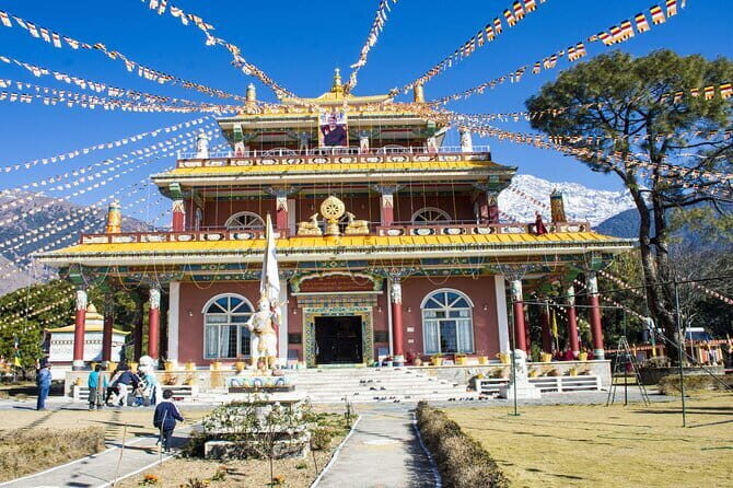 Palampur's Guided Day Tour: Discover the Tea Capital. - Key Points