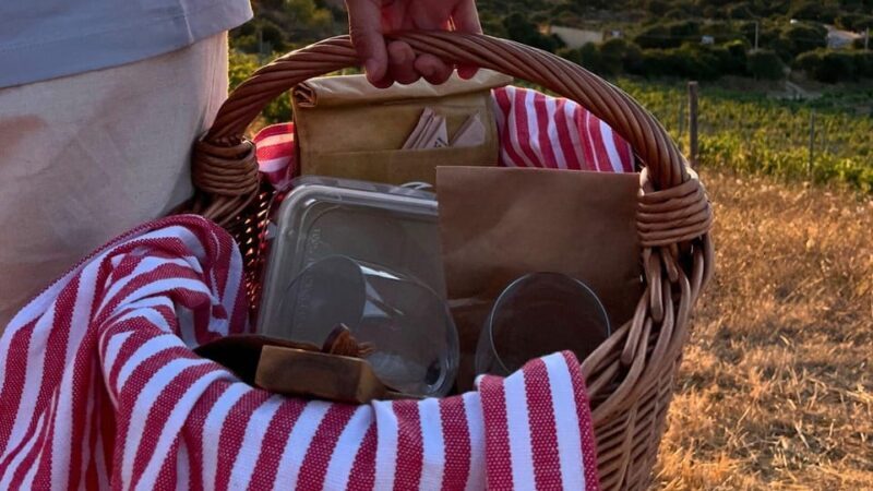 Palau: picnic in a Gallura estate - An In-Depth Look at the Picnic Experience