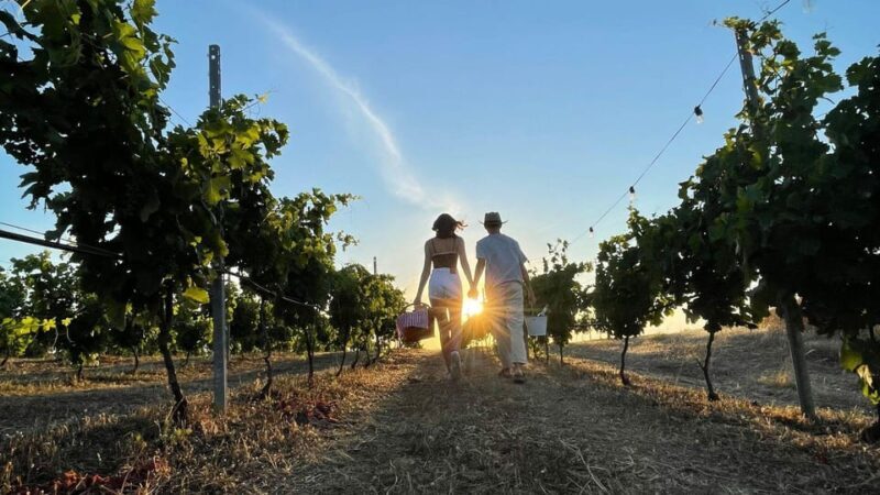 Palau: picnic in a Gallura estate - Who Should Consider This Tour?