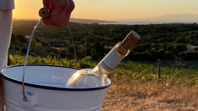 Palau: picnic in a Gallura estate - Final Thoughts: Is It Worth It?