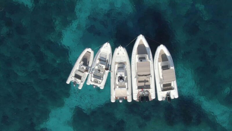 Palau: private RIB tour in La Maddalena Archipelago - Authentic Experiences and Traveler Feedback