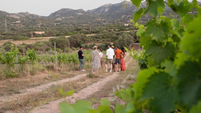 Palau: wine tasting in a Gallura winery - FAQ