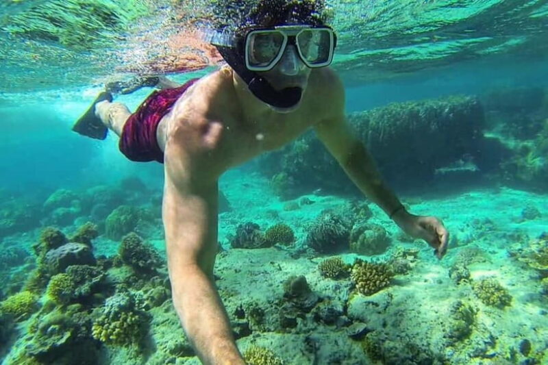 Palawan: 5-Day Puerto Princesa & El Nido Package Tour - Authentic Insights from Reviews
