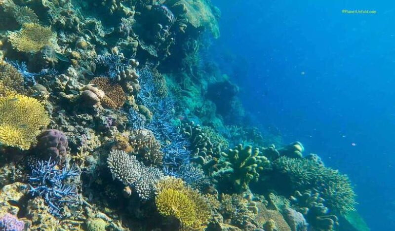 Palawan: Coron Island Super Ultimate Private Tour - An In-Depth Look at the Coron Island Super Ultimate Private Tour