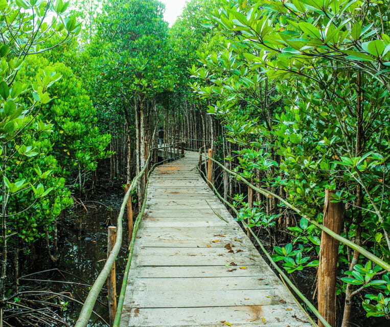 PALAWAN: El Nido Fishing Tour with Local Fishermen PRIVATE - Why Choose This Tour? A Thorough Look