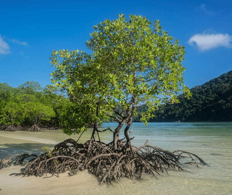 PALAWAN: El Nido Fishing Tour with Local Fishermen PRIVATE - Final Thoughts: Honest Value and Cultural Depth