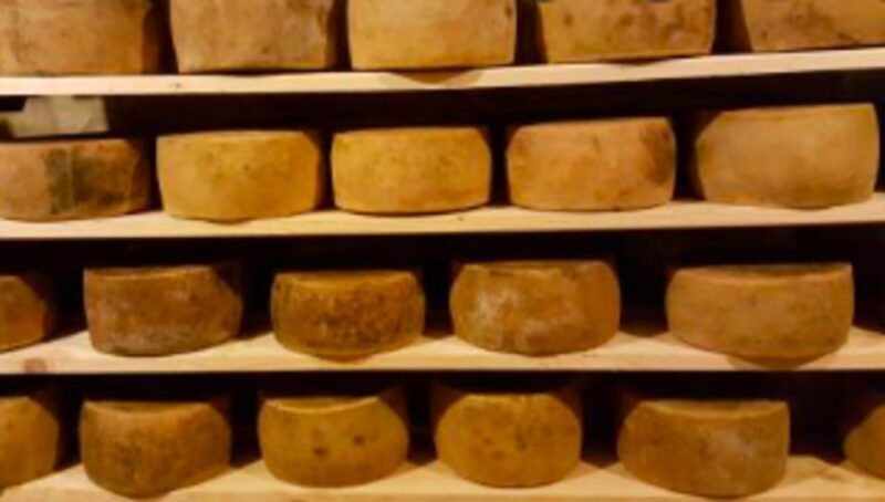 Palazzolo Acreide: Ricotta Cheese and Farm Tour with Tasting - Value and Practical Considerations