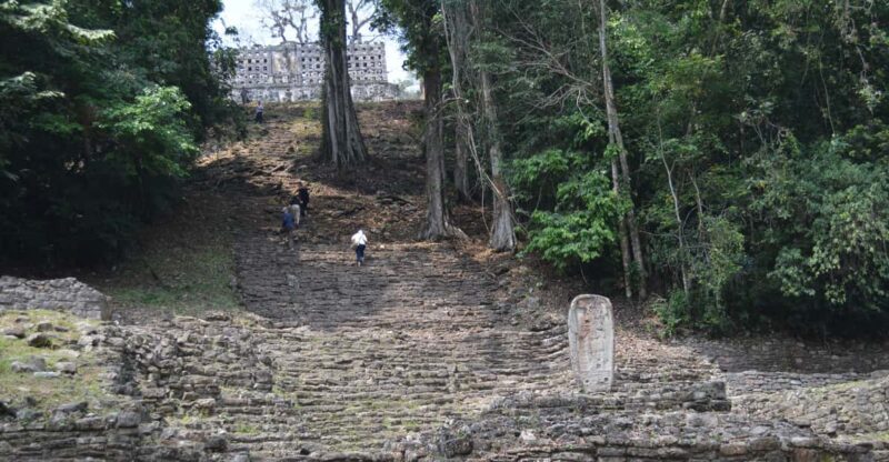 Palenque: 2-Day Lacandon Jungle, Yaxchilan, & Bonampak Trip - Palenque: 2-Day Lacandon Jungle, Yaxchilan, & Bonampak Trip – A Deep Dive into Mayan Ruins and Jungle Life