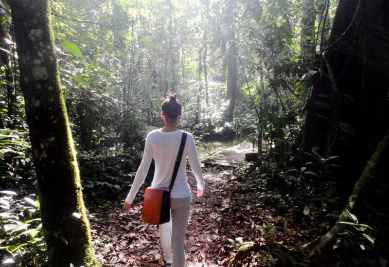 Palenque: 2-Day Lacandon Jungle, Yaxchilan, & Bonampak Trip - Final Thoughts
