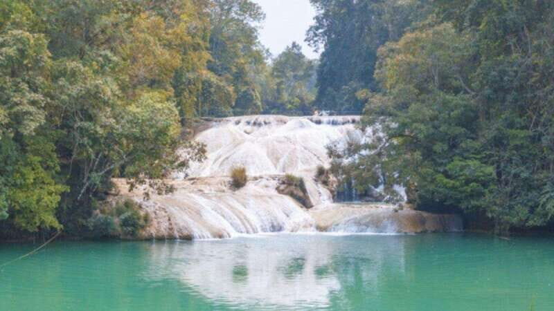 Palenque Archaeological Area and Roberto Barrios Waterfalls - Transportation, Price, and Group Size