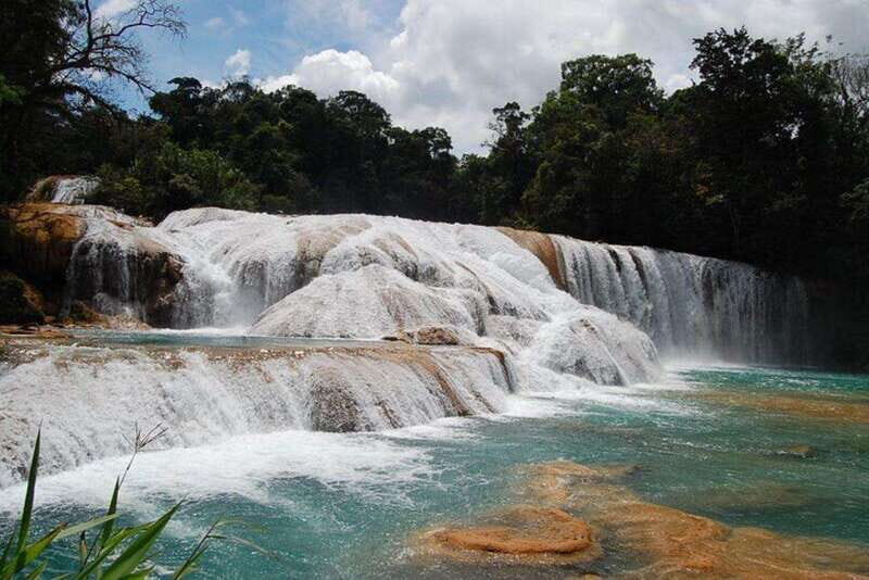 Palenque Archaeological Site with Agua Azul and Misol-Ha - Introduction to the Tour Experience
