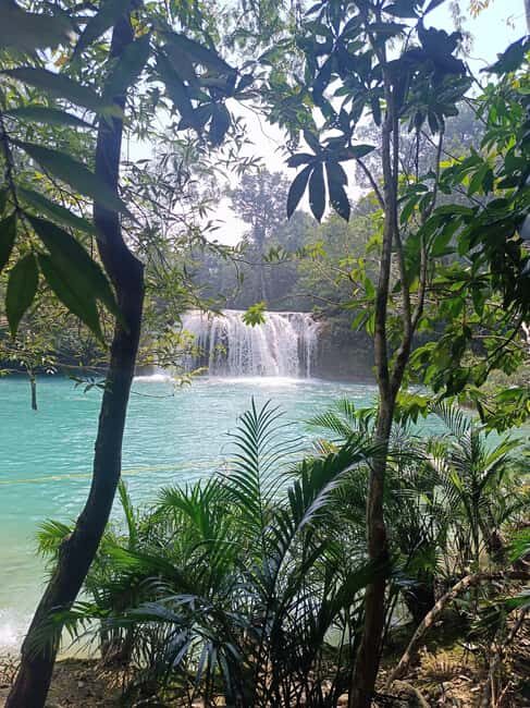 Palenque Archeological zone and Roberto Barrios Waterfalls - An In-Depth Look at the Tour Experience