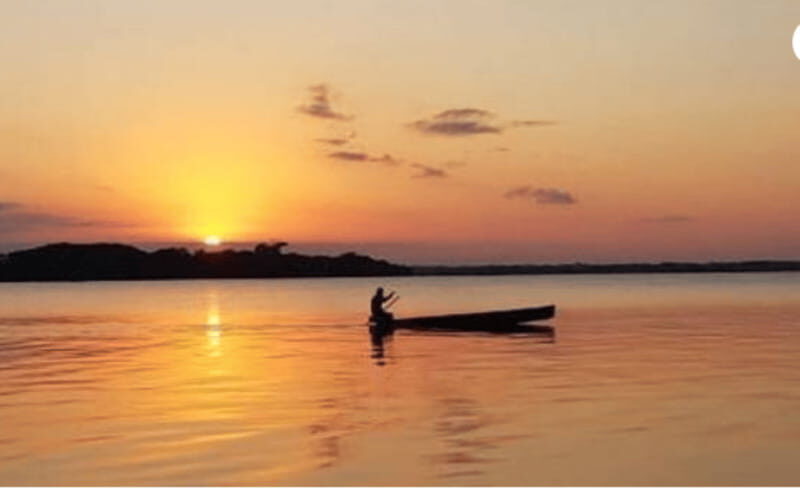 Palenque: Catazajá Lagoon Wildlife Adventure - Introduction: A Wildlife Tour Worth Considering