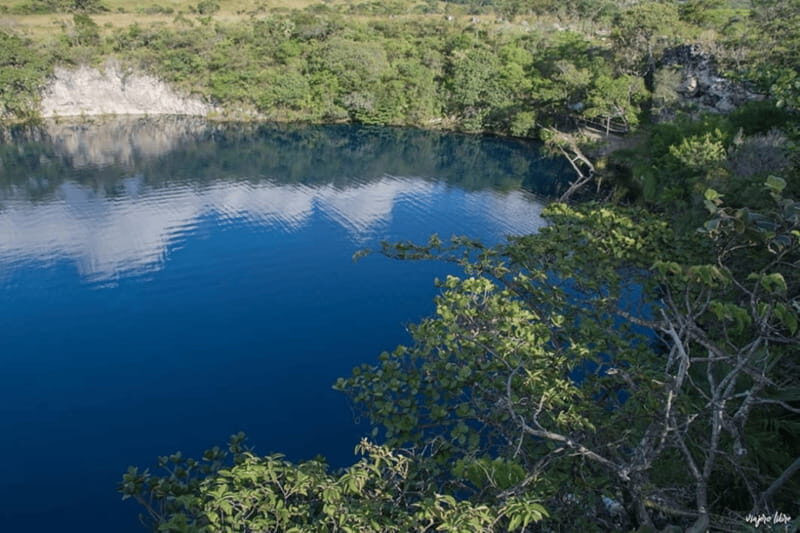 Palenque: Catazajá Lagoon Wildlife Adventure - The Itinerary: A Day in the Lagoon Life